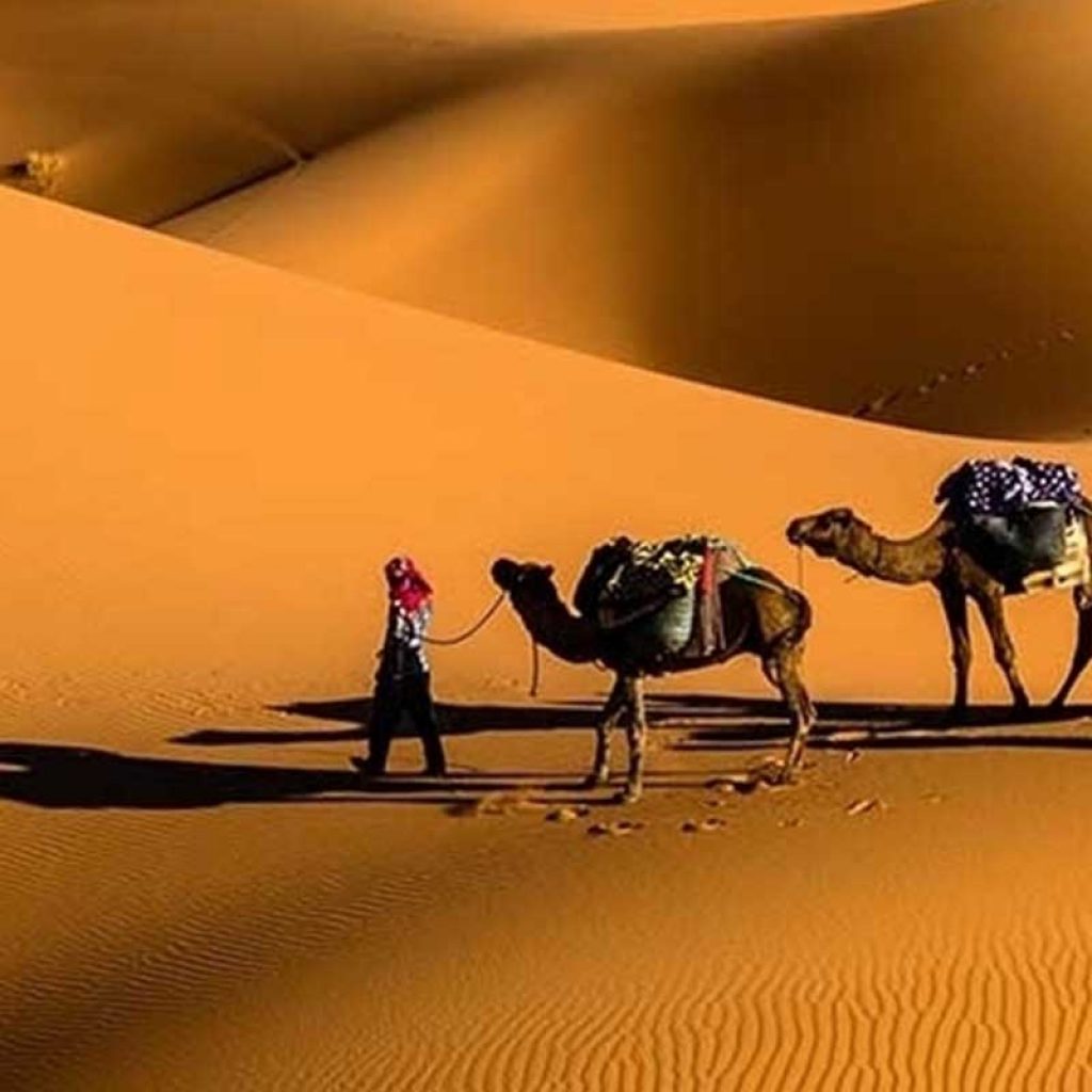 The BEST Marrakech Activities and Things to Do in 2025